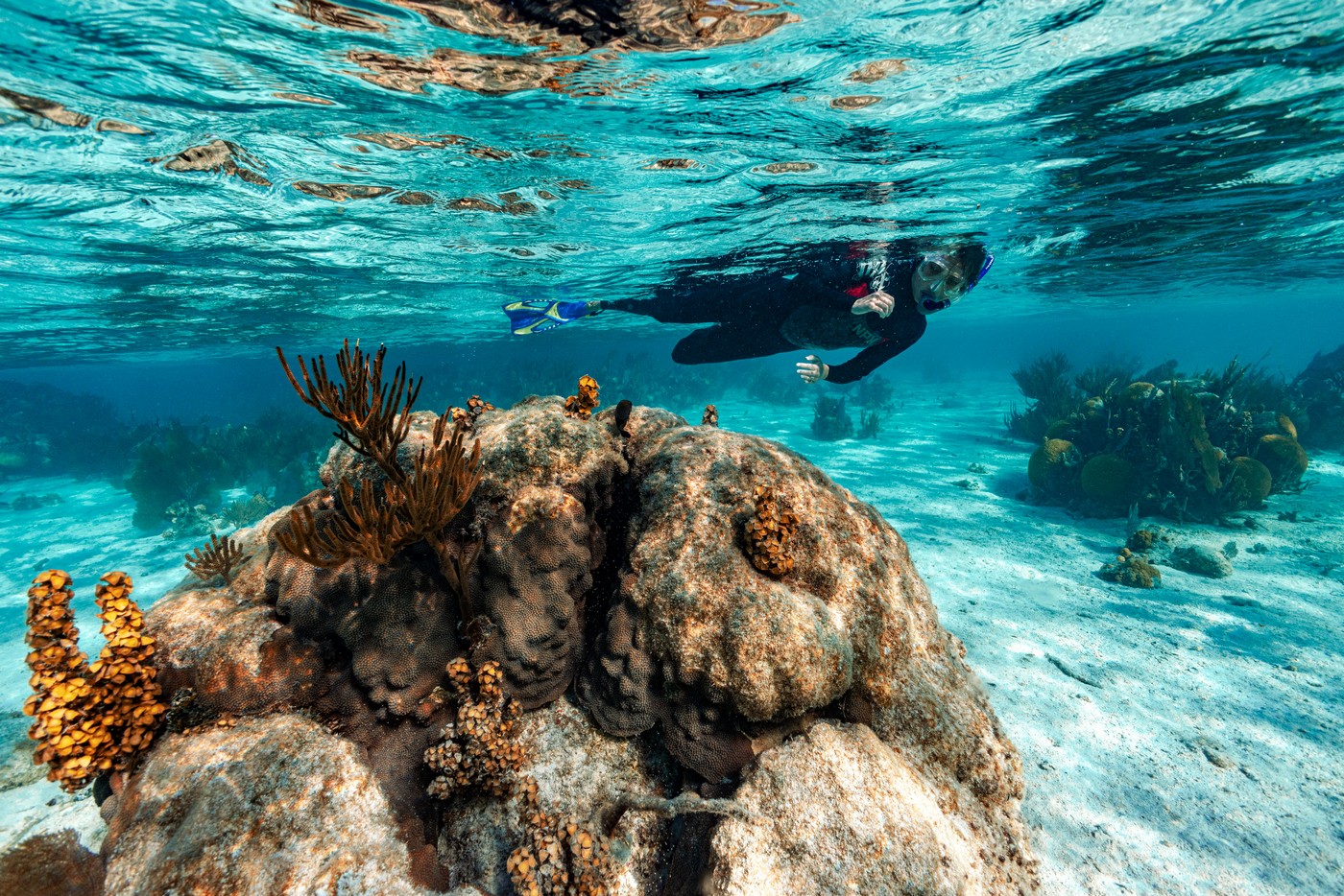 Experience Unforgettable Belize Snorkeling at Belize Adventures